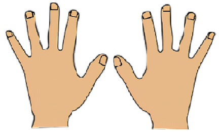 Ten ESI Protocol Lessons Learned from Case Law Rulings